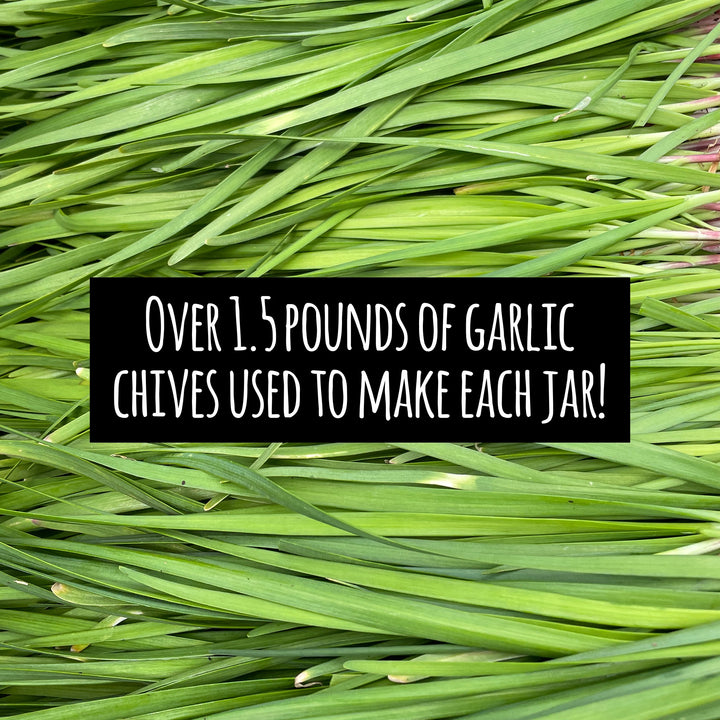 Garlic Chive Powder for Low FODMAP Cooking | Gourmend Foods