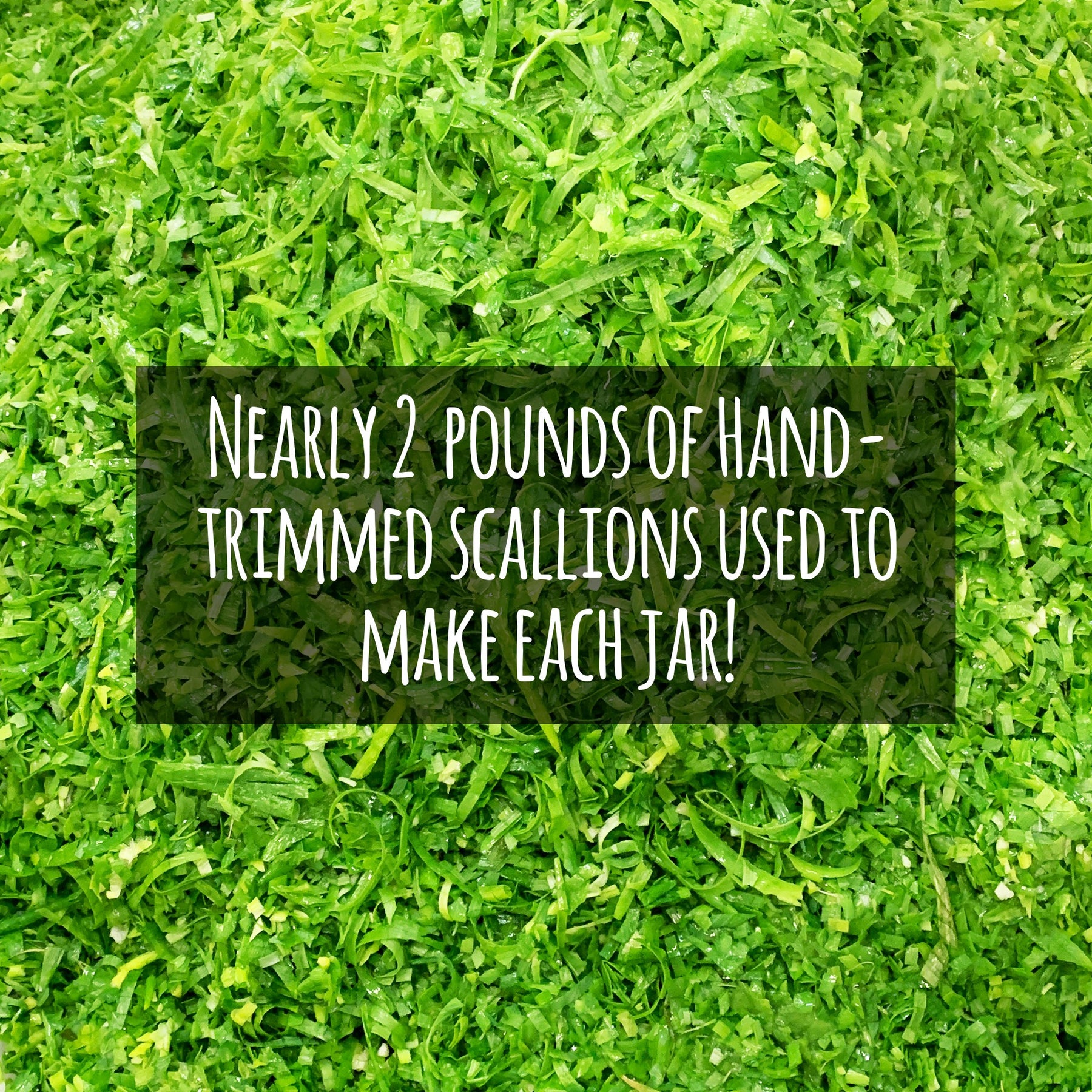 Green Onion Powder - Low FODMAP Onion Substitute – Gourmend Foods