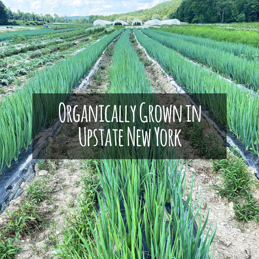 Green Onion Powder - Low FODMAP Onion Substitute – Gourmend Foods